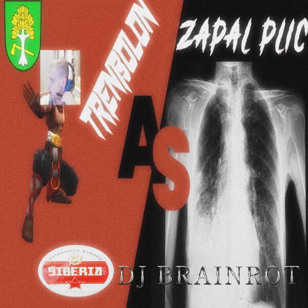 zápal plic (feat. DJ Bánov, DJ lamka, DJ právník & DJ Plukovník ...