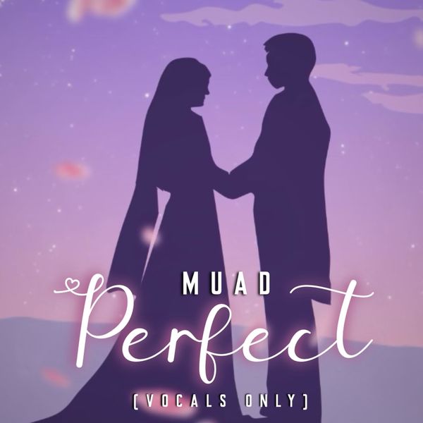 Perfect (Vocals Only), Muad - Qobuz
