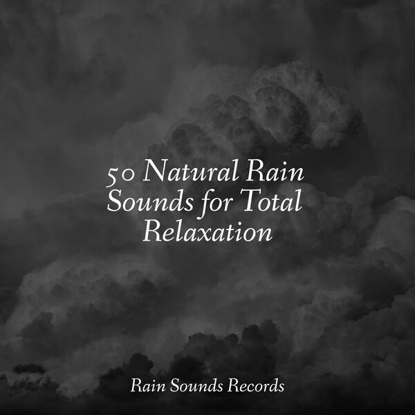 50 Natural Rain Sounds for Total Relaxation, Anxiety Relief - Qobuz