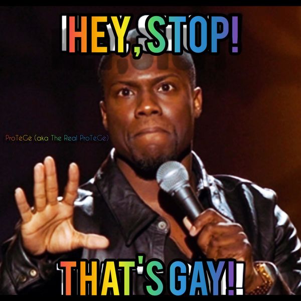 Hey Stop! That's Gay!, ProTèGè aka The Real ProTèGè - Qobuz