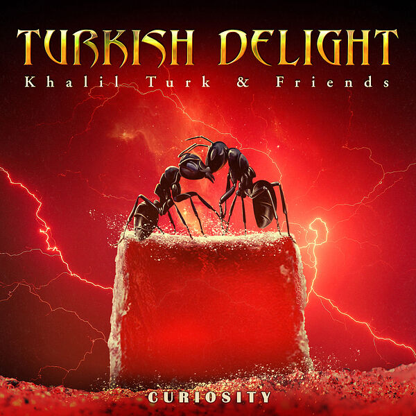 Curiosity Turkish Delight, Khalil Turk & Friends - Qobuz