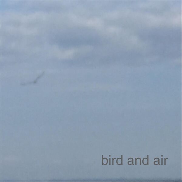 bird and air, bird and air - Qobuz