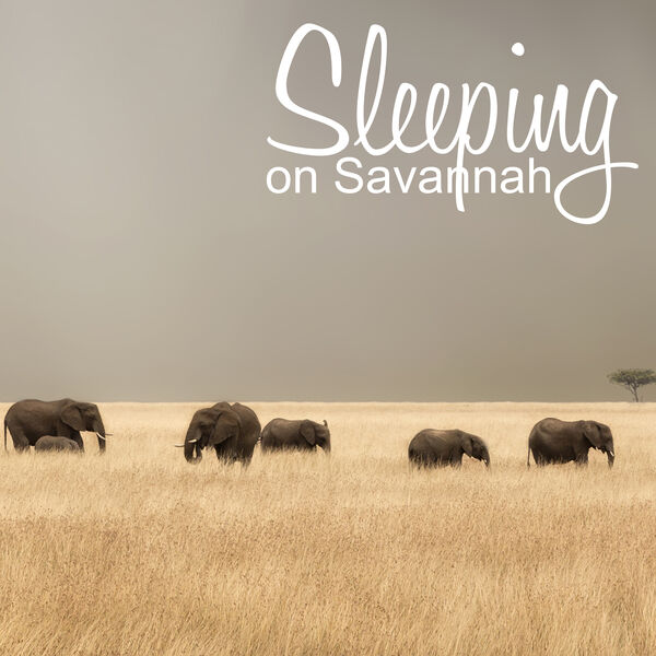 Sleeping on Savannah: Relaxing Drums and Ethnic Flute, Music of Africa ...