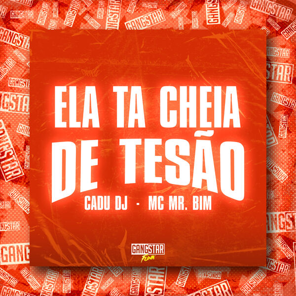 Ela Ta Cheia De Tesão Mc Mr Bim Qobuz