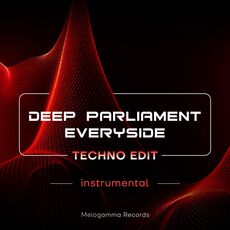 Every Side (Techno Edit) [Instrumental], Deep Parliament - Qobuz