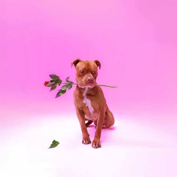 Ngisakuthanda, Zee Nxumalo - Qobuz