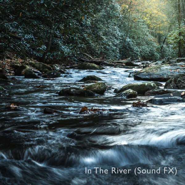 More Swedish River Sounds, In The River (Sound FX) - Qobuz