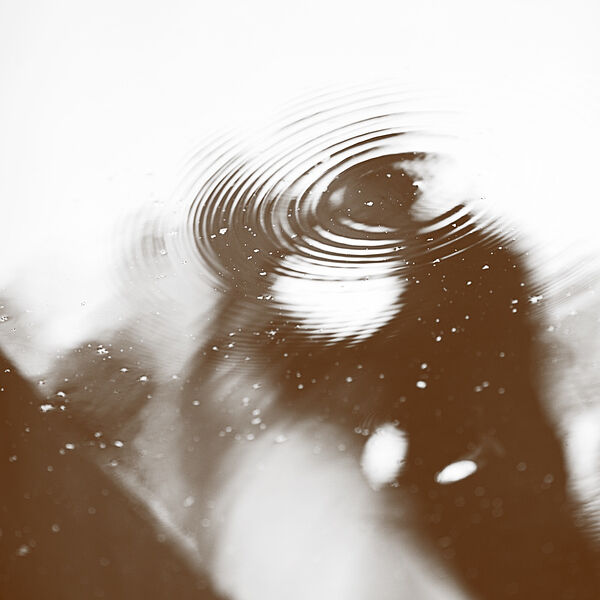 Have and Hold, Dan Margalit - Qobuz
