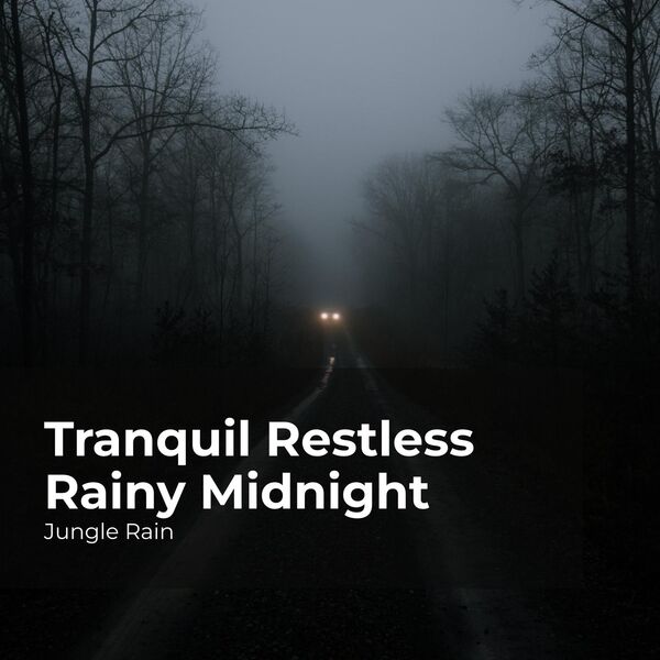 Tranquil Restless Rainy Midnight, Jungle Rain - Qobuz