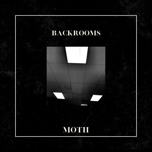 Album Backrooms, Moth | Qobuz: download and streaming in high quality