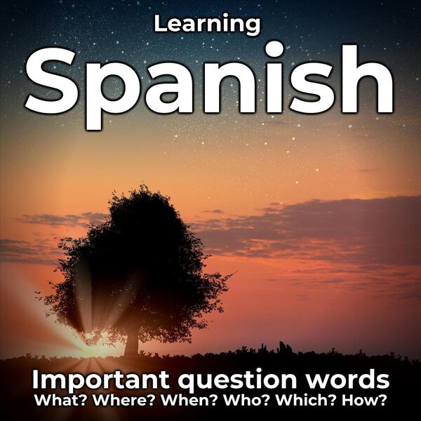 Learning Spanish: Important Question Words (What? Where? When? Who ...