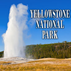 Yellowstone National Park - Sound Effects, Sound Ideas - Qobuz