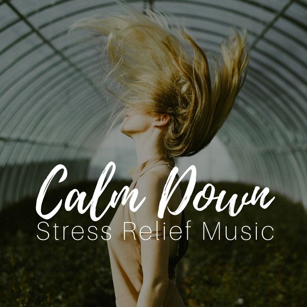 Calm Down Stress Relief Music To Reduce Anxiety Various Composers By