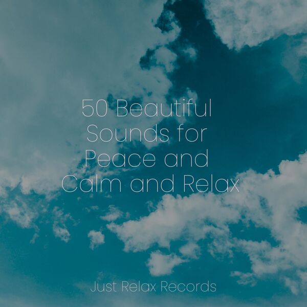 50 Beautiful Sounds for Peace and Calm and Relax, Naturaleza Sonidos ...