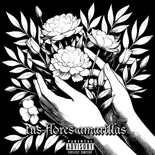 Mi Niña Bonita, kevin hs - Qobuz