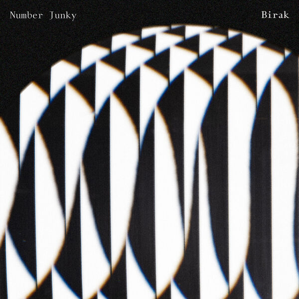 Birak, Number Junky - Qobuz