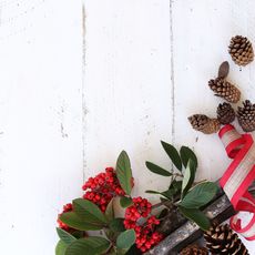 50 Jolly Christmas Hits to Enjoy with Friends & Family, Christmas ...