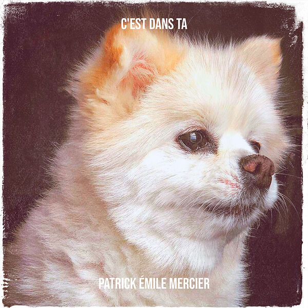 C'est dans ta, Patrick Émile Mercier - Qobuz