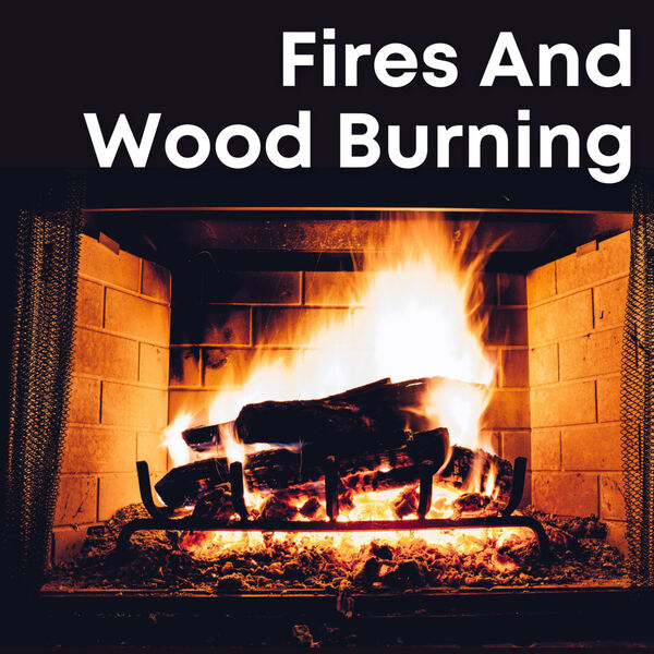 Fires and Burning Wood, The Extinguished - Qobuz