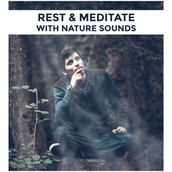 Rest & Meditate with Nature Sounds – Harmony Music, Relaxing Sounds ...