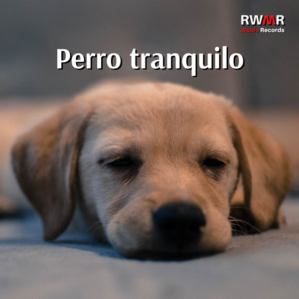 Perro tranquilo - Sonidos de la naturaleza para el estrés y la calma ...