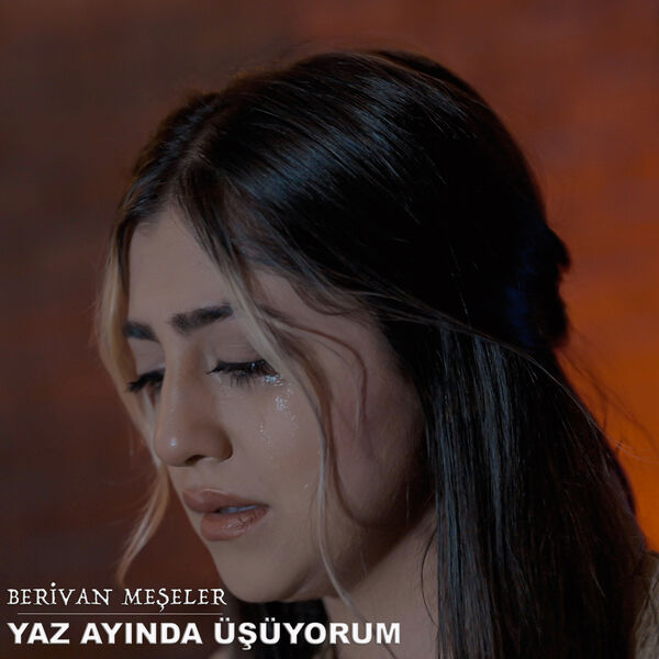 Yaz Ayında Üşüyorum, Berivan Meşeler - Qobuz