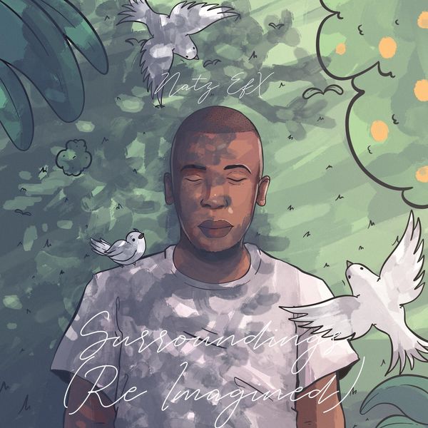 Surroundings (Re Imagined), Natz Efx - Qobuz