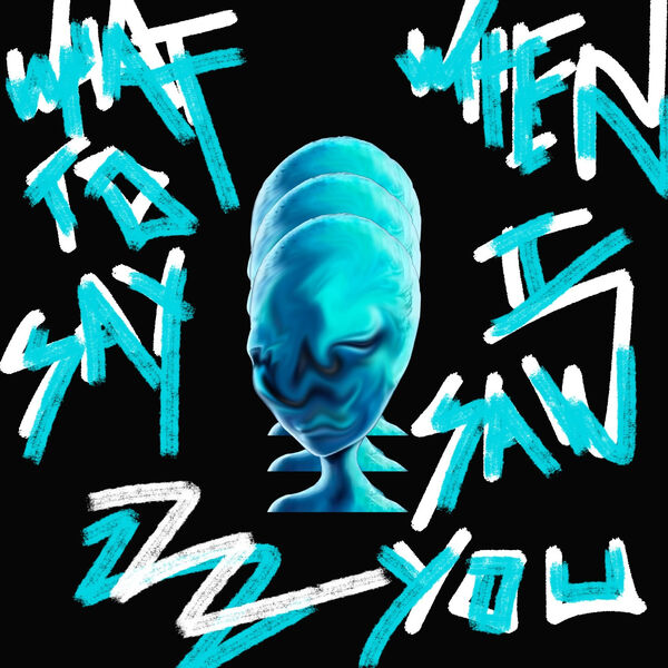 WHAT TO SAY WHEN I SAW YOU, Matt Corman - Qobuz