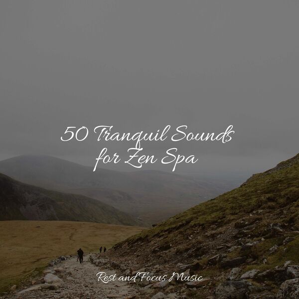 50 Tranquil Sounds for Zen Spa, Exam Study Classical Music - Qobuz