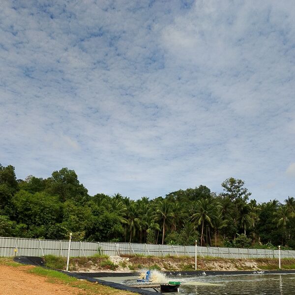 Borun Conqueror of Dimensions, Waruwu Zhi Yoga - Qobuz