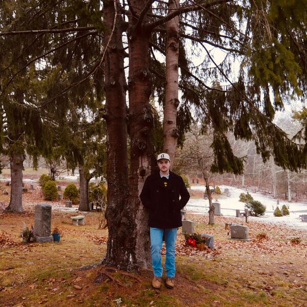 You Are A Forest, Coleman Hamilton - Qobuz