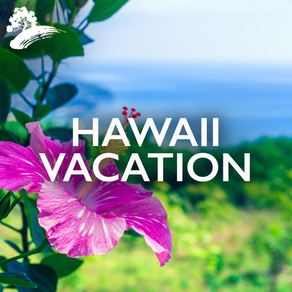 Hawaii Vacation Various Artists Qobuz