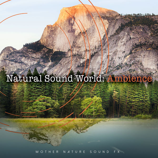 Natural Sound World: Ambience, Mother Nature Sound FX - Qobuz