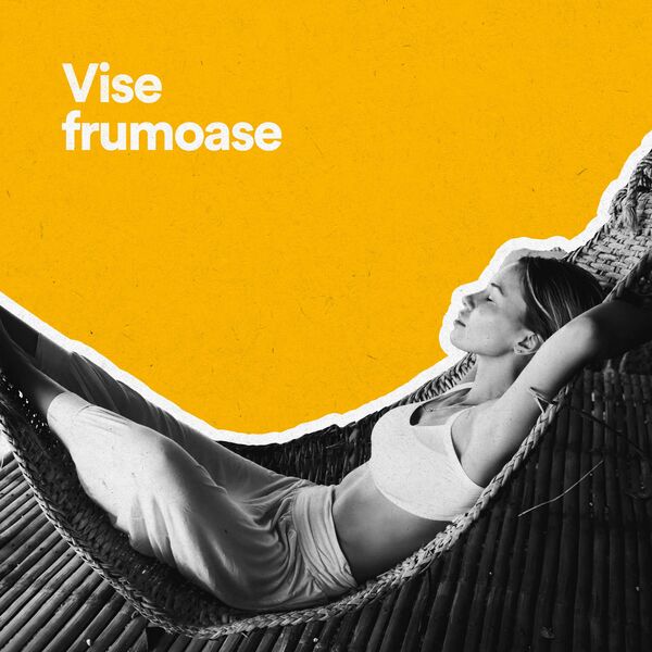 Vise frumoase (Ambientală), Somnoros - Qobuz