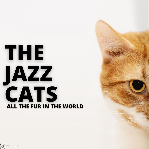 All The Fur In The World, The Jazz Cats - Qobuz