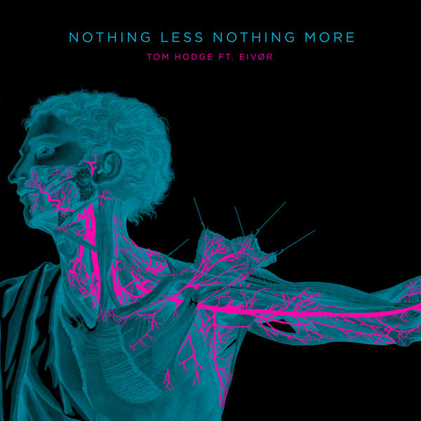 Nothing Less Nothing More, Tom Hodge - Qobuz
