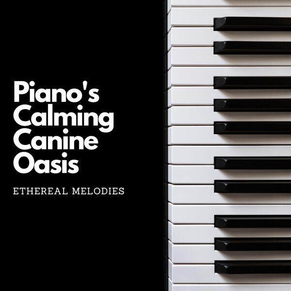 Piano's Calming Canine Oasis: Ethereal Melodies, Infinite Stream - Qobuz