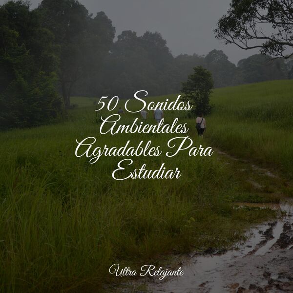 50 Sonidos Ambientales Agradables Para Estudiar, Musicas Crianças - Qobuz