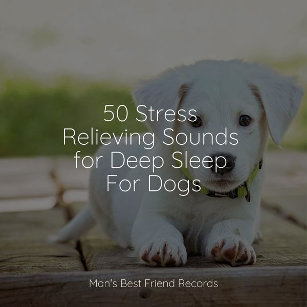 50 Stress Relieving Sounds for Deep Sleep For Dogs, Music for Calming Dogs - Qobuz