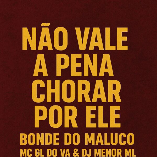 NÃO VALE A PENA CHORAR POR ELE (-), DJ MENOR ML - Qobuz