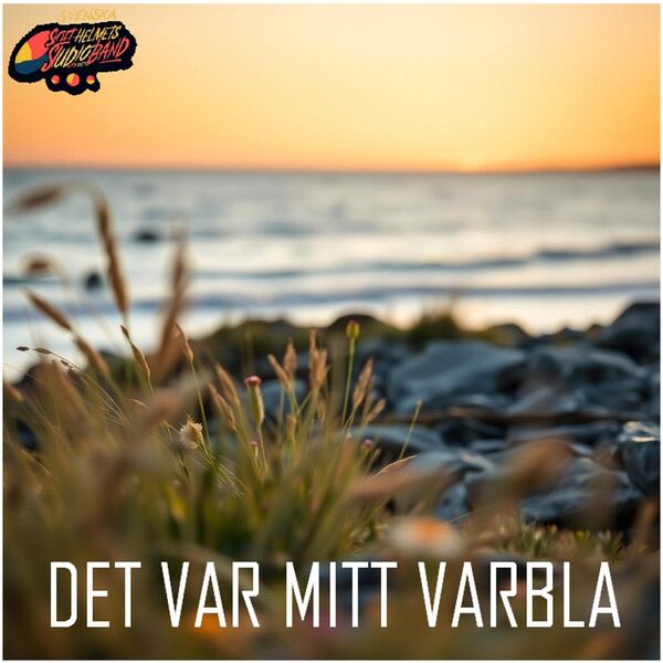 Det var mitt Varbla, Soft Helmets Studio Band - Qobuz