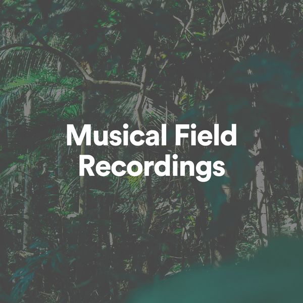 Musical Field Recordings, Field Recordings - Qobuz