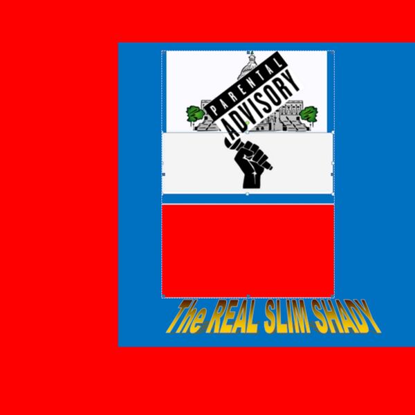 The REAL SLIM Shady, nicholas heimann - Qobuz