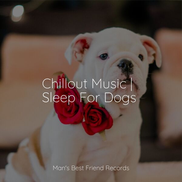Chillout Music | Sleep For Dogs, Music for Pets Library - Qobuz