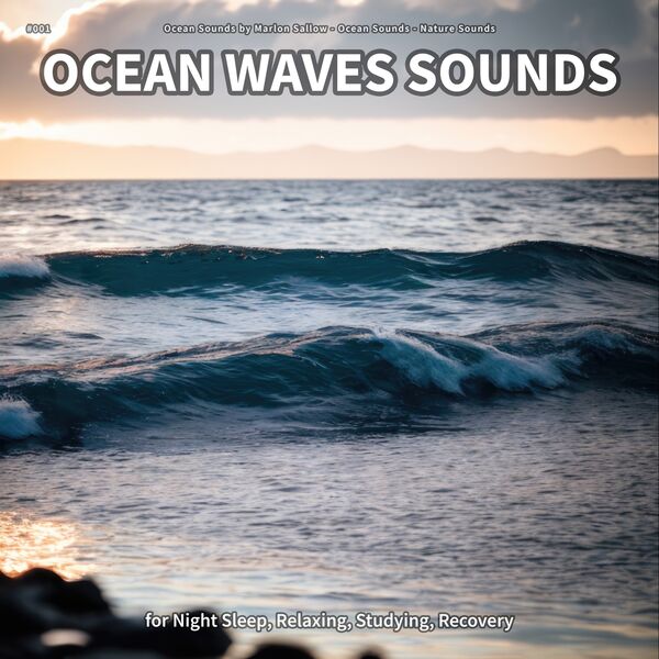 #001 Ocean Waves Sounds for Night Sleep, Relaxing, Studying, Recovery ...