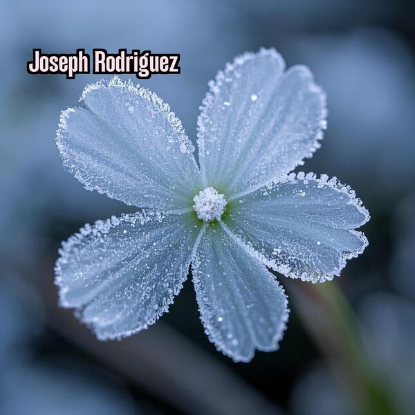 Whisperless Frozen Bloom, Joseph Rodriguez - Qobuz