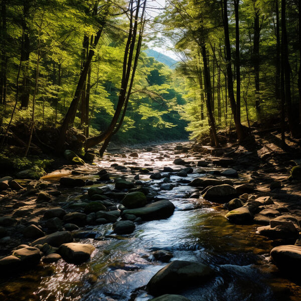 Sinfonía De La Naturaleza: Un Viaje Acústico, Biblioteca de muestras ...