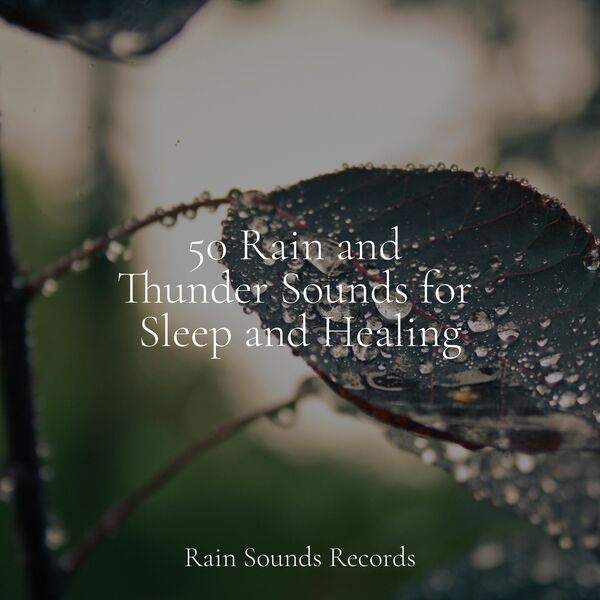 50 Rain and Thunder Sounds for Sleep and Healing, Rain Sounds & White Noise - Qobuz