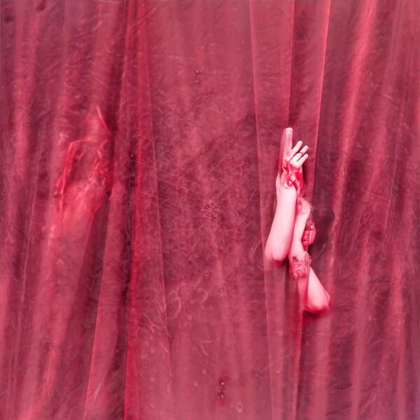 Quantum Immortality, Idklang - Qobuz