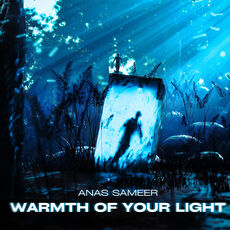 Warmth Of Your Light, Anas Sameer - Qobuz